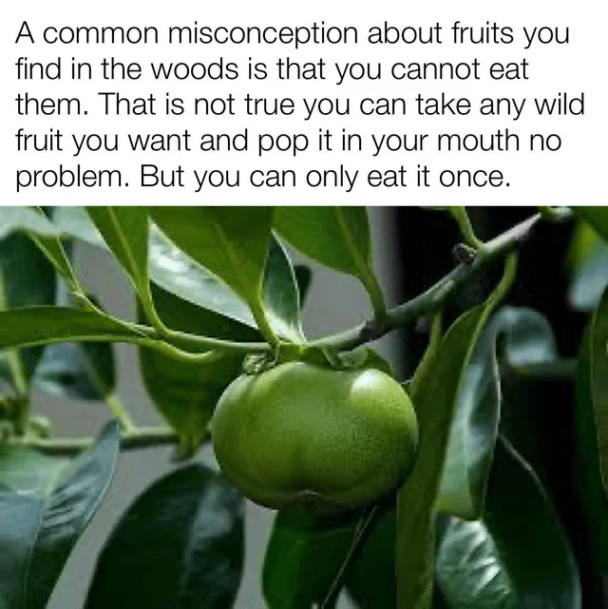 40 People Who Were Technically Correct This Week, Which Is Technically ...