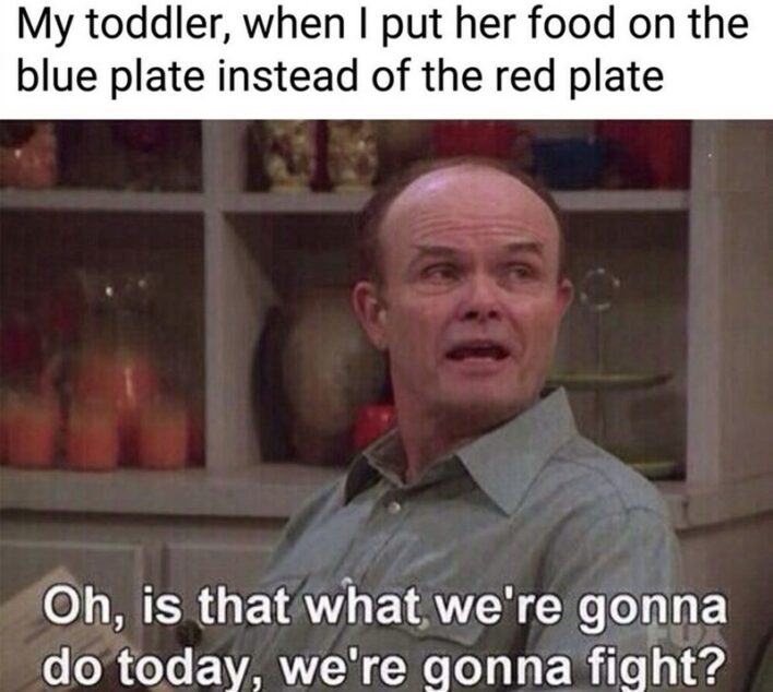 40 Funny Toddler Memes For Exhausted Parents Trying To Wrangle The ...