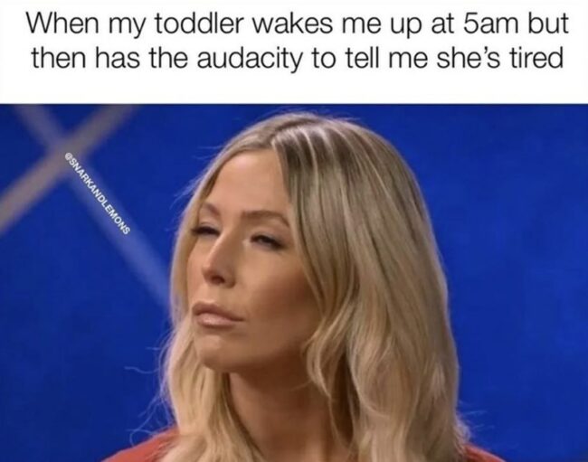 40 Funny Toddler Memes For Exhausted Parents Trying To Wrangle The ...