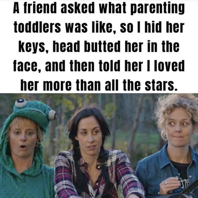 40 Funny Toddler Memes For Exhausted Parents Trying To Wrangle The ...