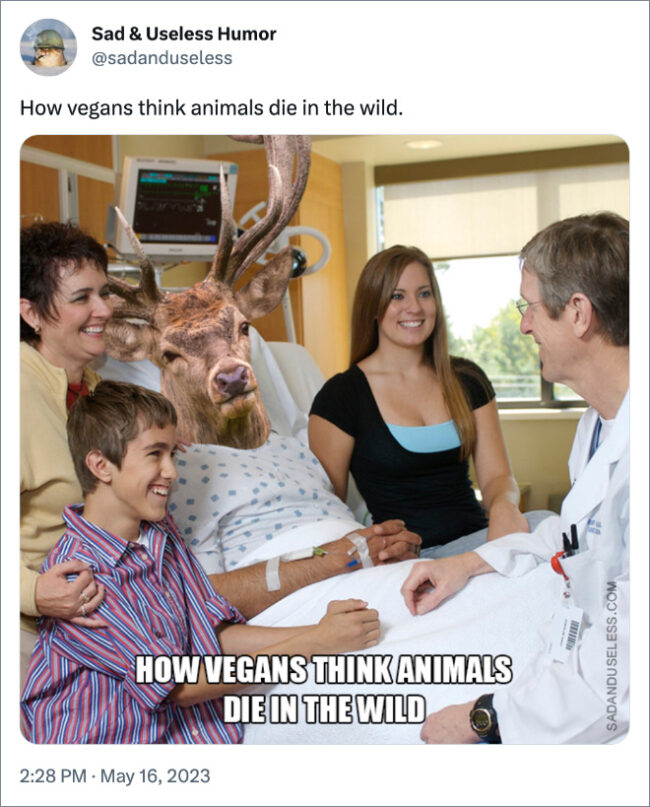 20+ Vegan Memes For Folks Who Don't Just Think They're Better Than You ...