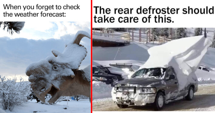 45 Funny Winter Memes That'll Be Less Funny When You're Digging Your ...