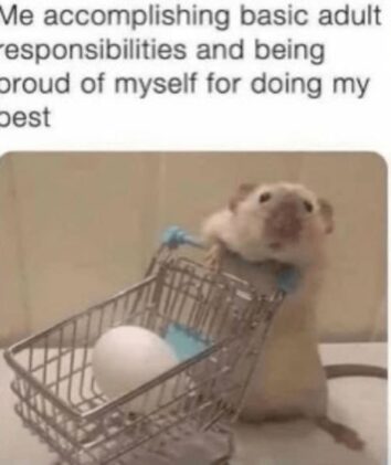 45 Funny Animal Memes To Help You Laugh Your Way Through The Shorter ...