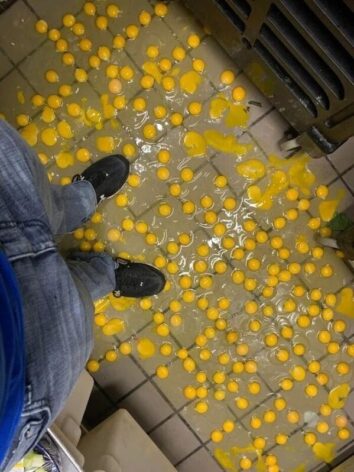40 Hilariously Cringe Work Fails Will Make Your Workweek Look Tolerable ...