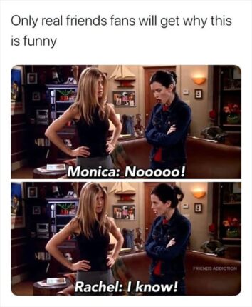 45 Funny 'Friends' TV Show Memes That Are the Best Thing Since Unagi