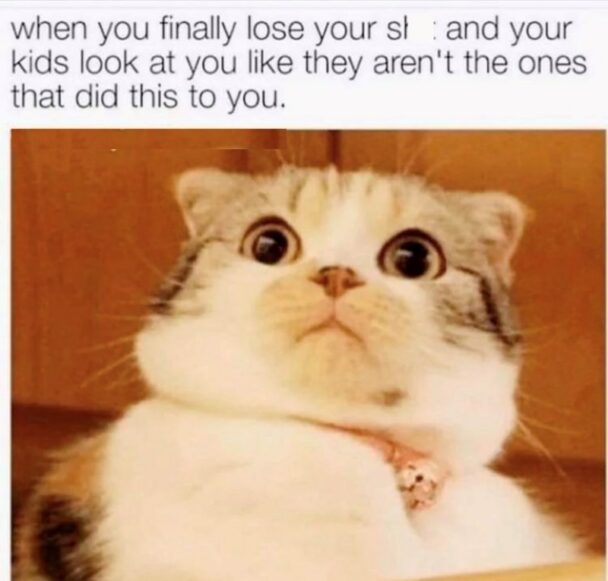 30 Funny, But Brutally Honest Parenting Memes For Parents Raising ...