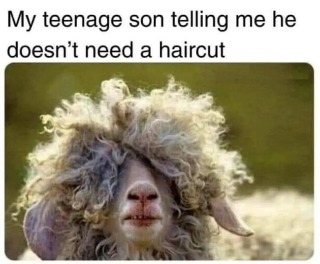 30 Funny, But Brutally Honest Parenting Memes For Parents Raising ...