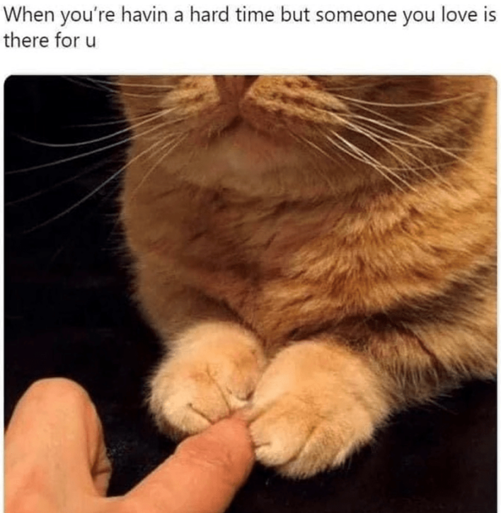 40 Codependent Relationship Memes You Probably Shouldn't Read Without ...