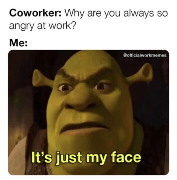 35 Funny Work Memes For New Hires To Help You Ease Into Your Job