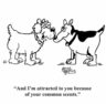30 Funny Single-Panel Dog Comics From Cartoonist Jonny Hawkins
