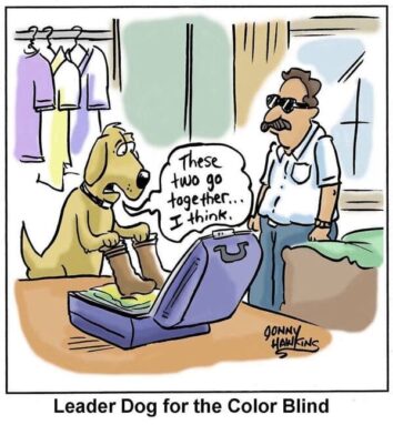 30 Funny Single-Panel Dog Comics From Cartoonist Jonny Hawkins