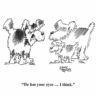 30 Funny Single-Panel Dog Comics From Cartoonist Jonny Hawkins