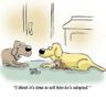 30 Funny Single-Panel Dog Comics From Cartoonist Jonny Hawkins