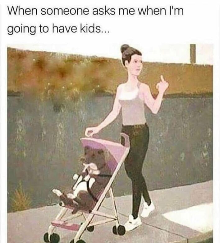 32 Of The Funniest Childfree Memes From Folks With Unlimited Free Time ...