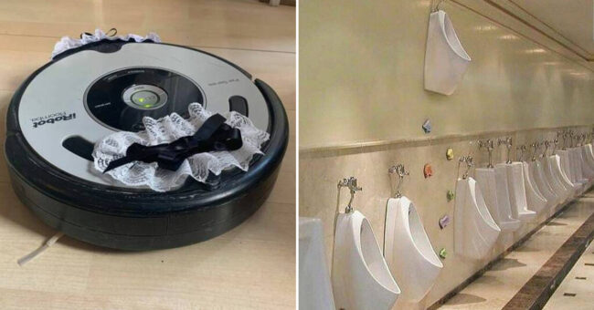 45 Of The Funniest Pictures On The Internet Guaranteed To Brighten Your ...