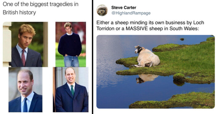 Humour From Across The Pond: 40 Funny British Memes For Non-Stop Laughter