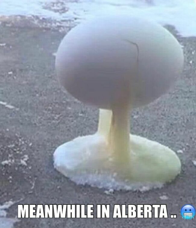 40 Hilariously Canadian Memes From The Friendly Folks Up North