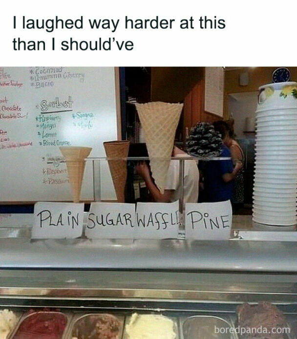 40 Hilariously Canadian Memes From The Friendly Folks Up North