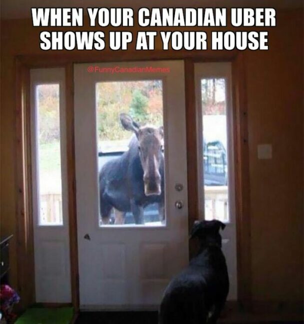 40 Hilariously Canadian Memes From The Friendly Folks Up North
