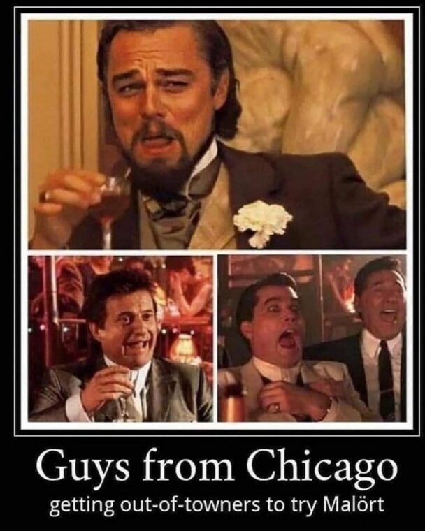 40 Funny Chicago Memes For The City With Great Hot Dogs And An Awful Winter