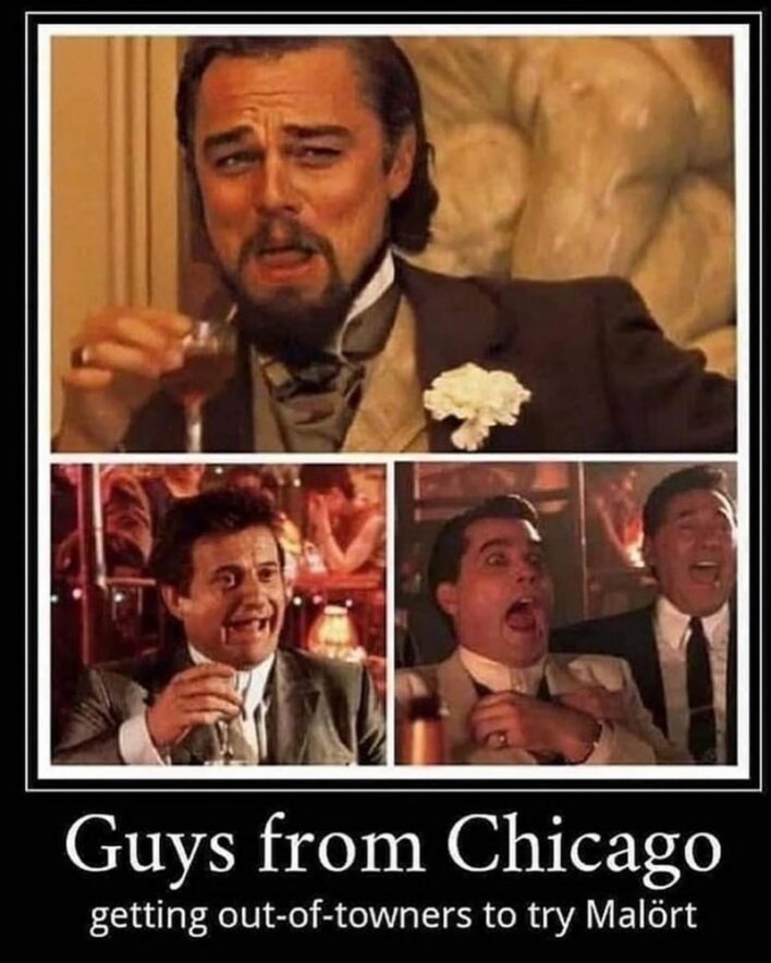 40 Funny Chicago Memes For The City With Great Hot Dogs And An Awful Winter