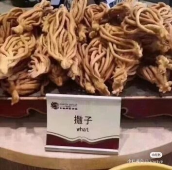 40 Funny English Grammar Fails That Turn Language Mistakes Into Laughter