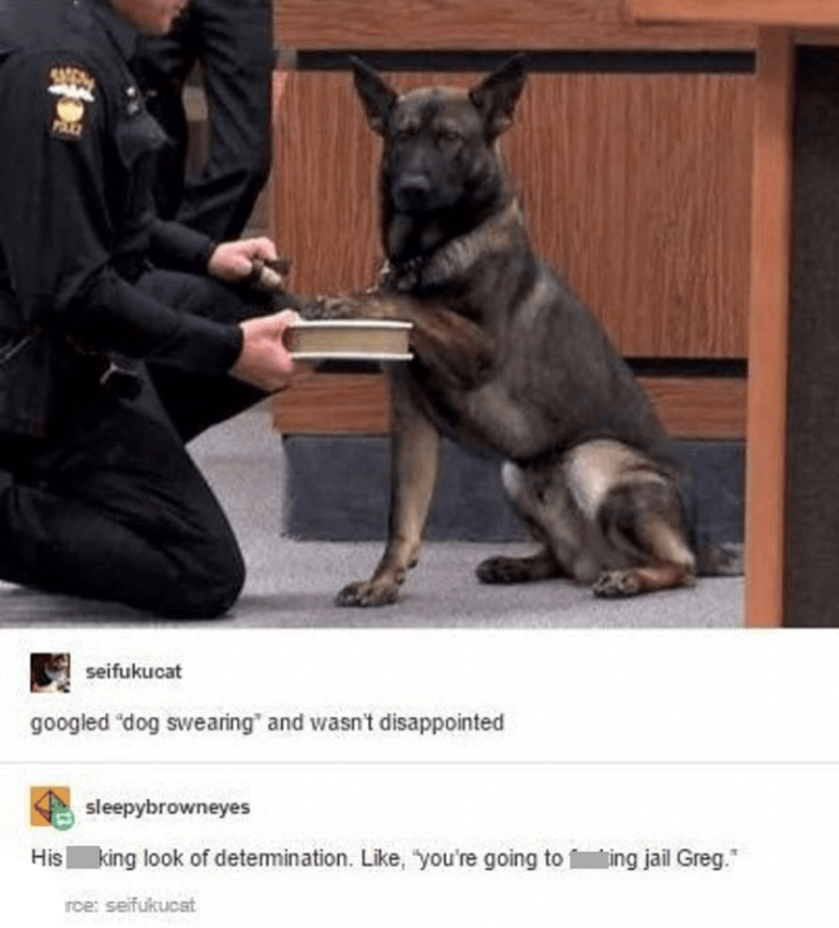 40 Funny Lawyer Memes No One Could Possibly Object To, Your Honor