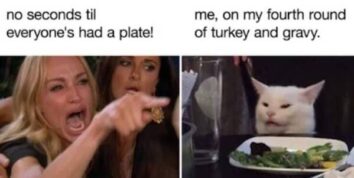 45 Funny Pictures And Memes To Brighten Your Turkey Day Celebrations