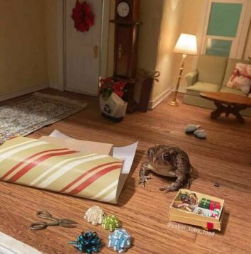 42 Funny Pictures Add A Spark Of Humor To Your Morning Routine