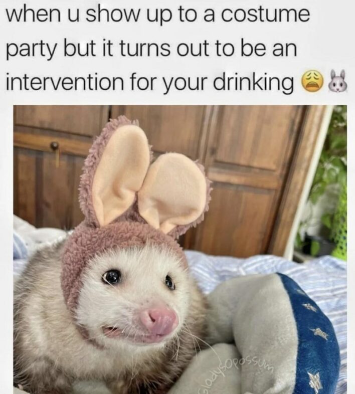 LOL-A-Palooza — Your Daily Fix Of 45 Funny Random Memes (November 2, 2023)