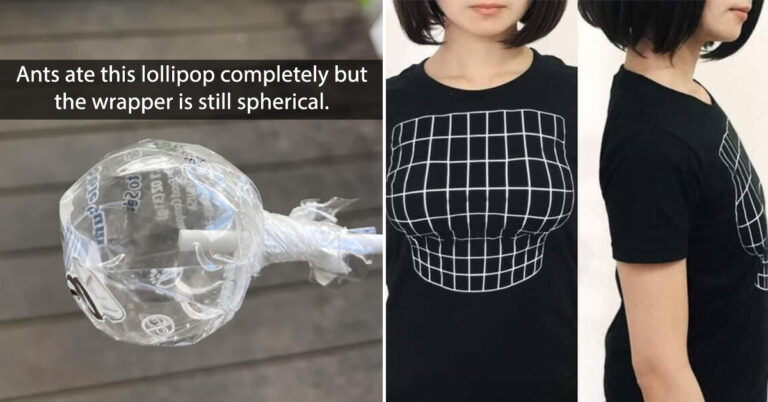 45 Funny And/Or Random Pictures For Adding A Twist Of The Unexpected To ...