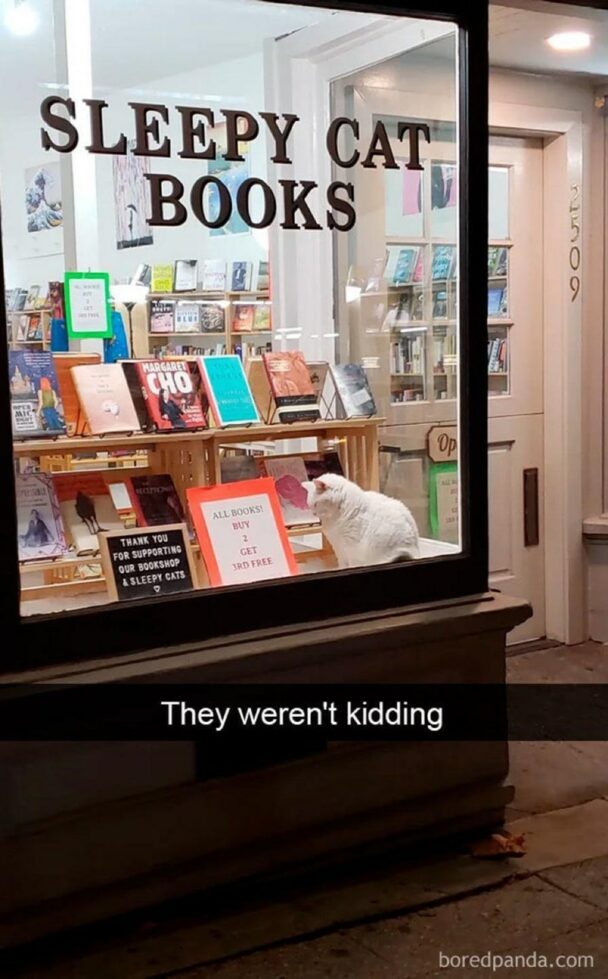 40 Funny Reading Memes For Literary Types Who Live For A Good Book