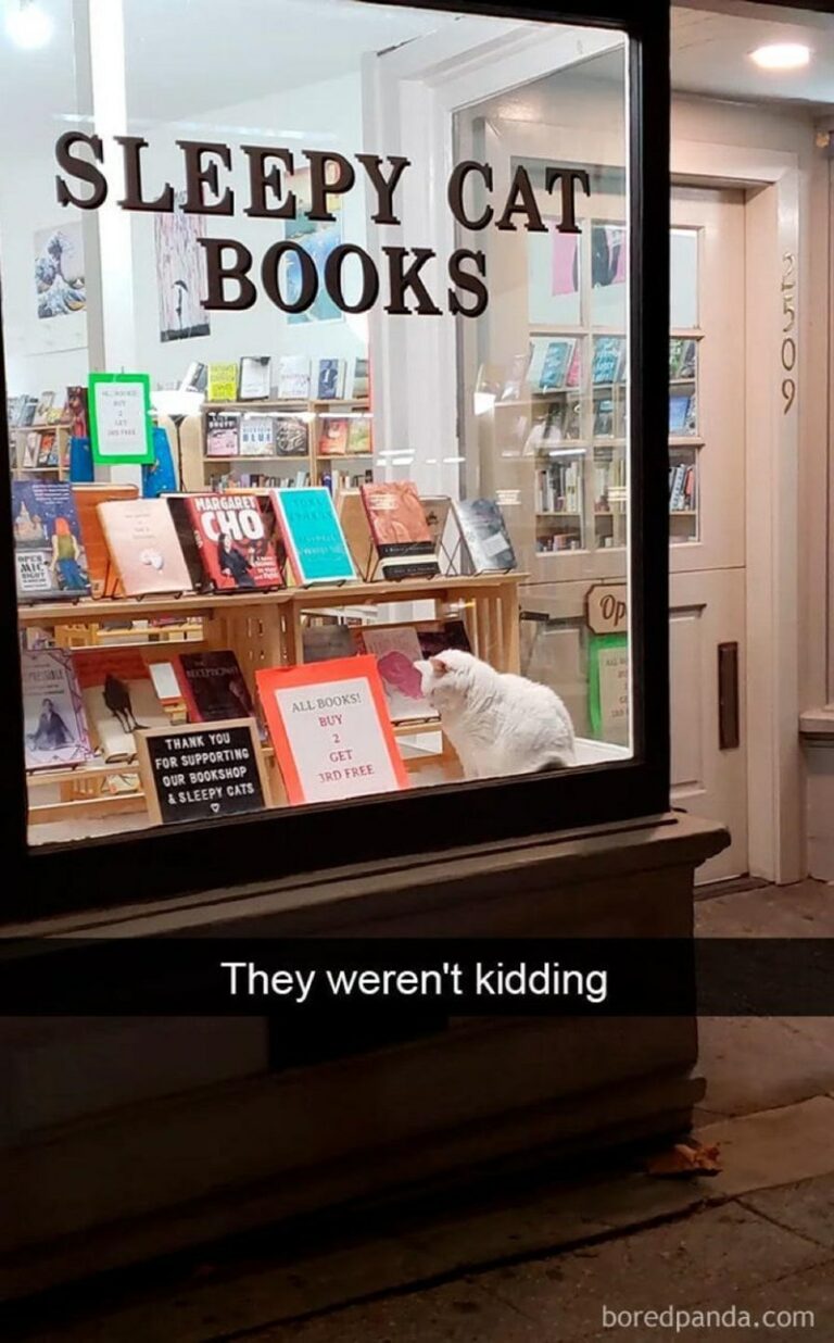 40 Funny Reading Memes For Literary Types Who Live For A Good Book