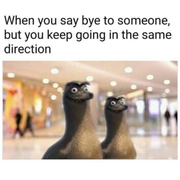 40 Hilariously Relatable Memes Shared In The 'Laughing At My Own Memes ...