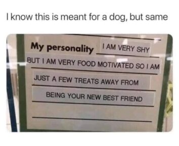 40 Hilariously Relatable Memes Shared In The 'Laughing At My Own Memes ...