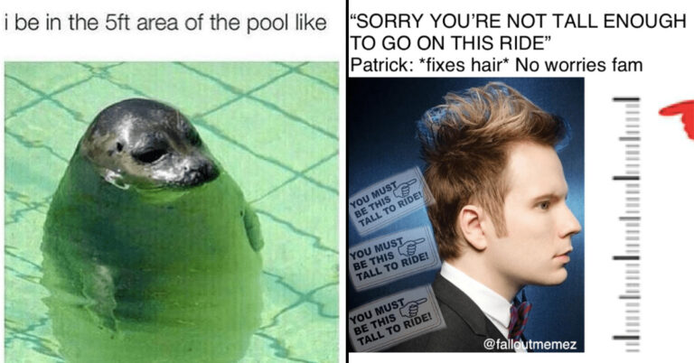 30+ Funny Memes Dedicated To Celebrating The Short Kings And Queens In ...