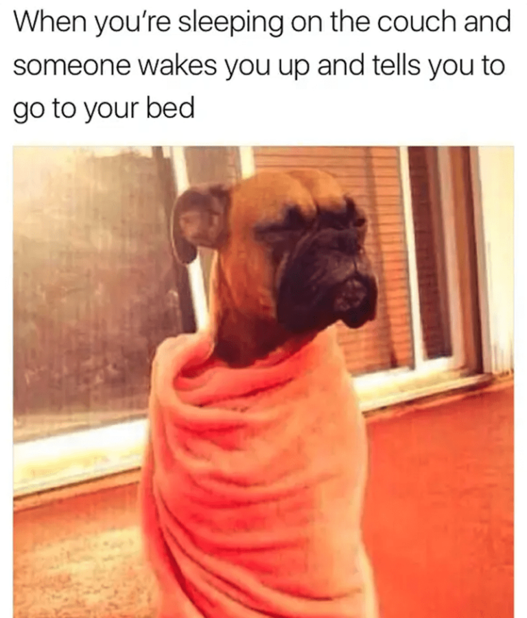 27 Sleepy Memes For Tired Folks Who Would Choose Their Bed Over Anywhere