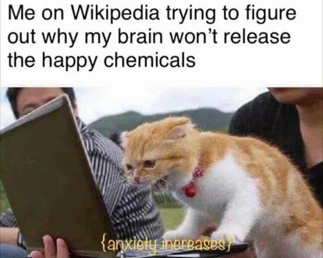 45 Therapy Memes For All You Basket Cases To Discuss In Therapy This Week