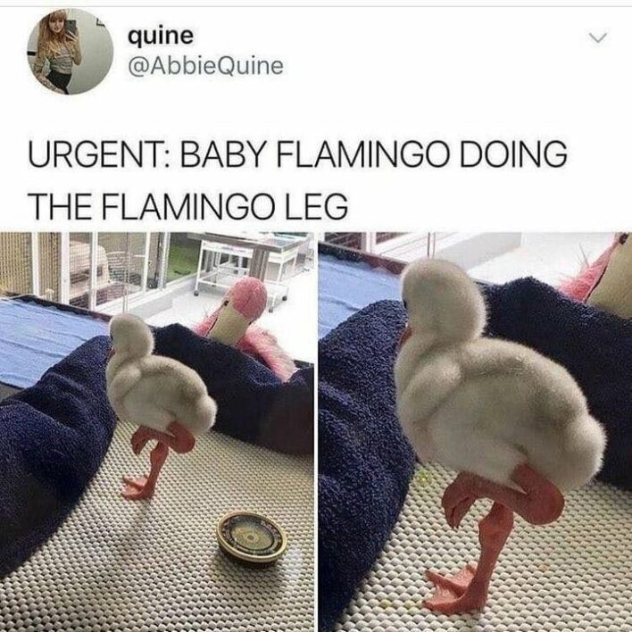40 Of Today's Funniest, Most Viral Trending Memes From The Last Few Days