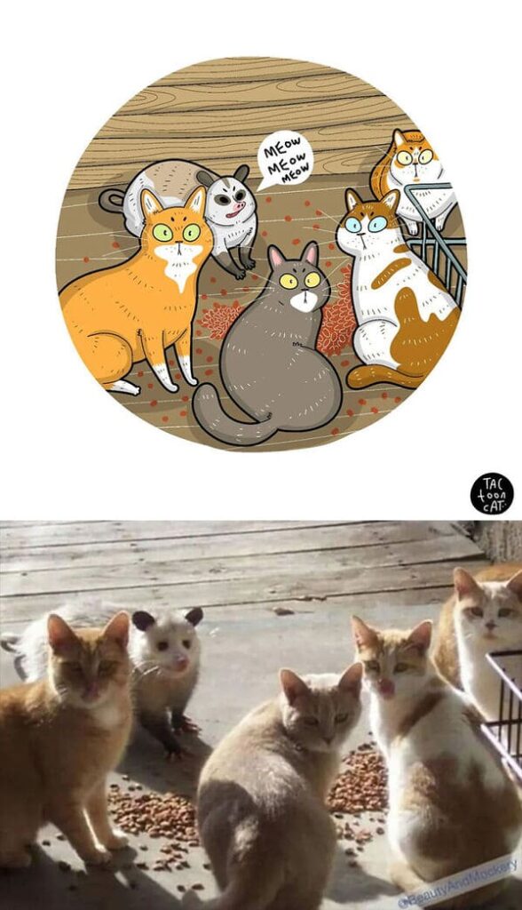 50 Funniest Internet-Famous Cat Pictures Turned Into Comics By Artist ...