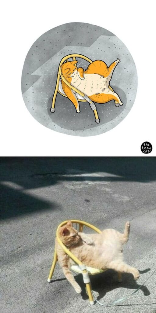 50 Funniest Internet-Famous Cat Pictures Turned Into Comics By Artist ...