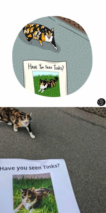 50 Funniest Internet-Famous Cat Pictures Turned Into Comics By Artist ...