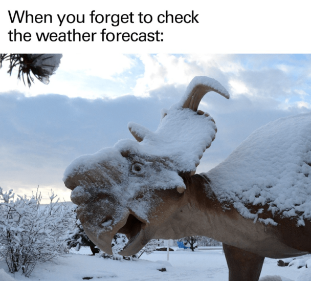 45 Funny Winter Memes That'll Be Less Funny When You're Digging Your ...
