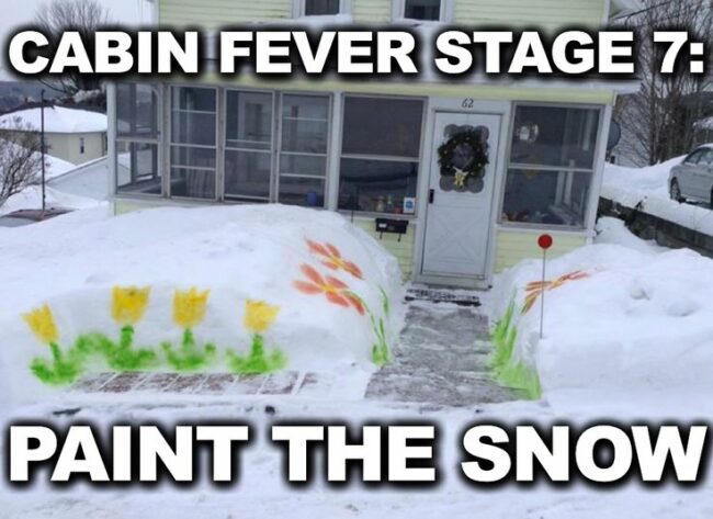 45 Funny Winter Memes That'll Be Less Funny When You're Digging Your ...