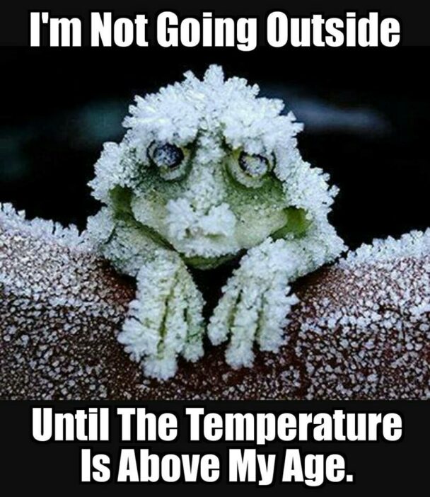45 Funny Winter Memes That'll Be Less Funny When You're Digging Your ...