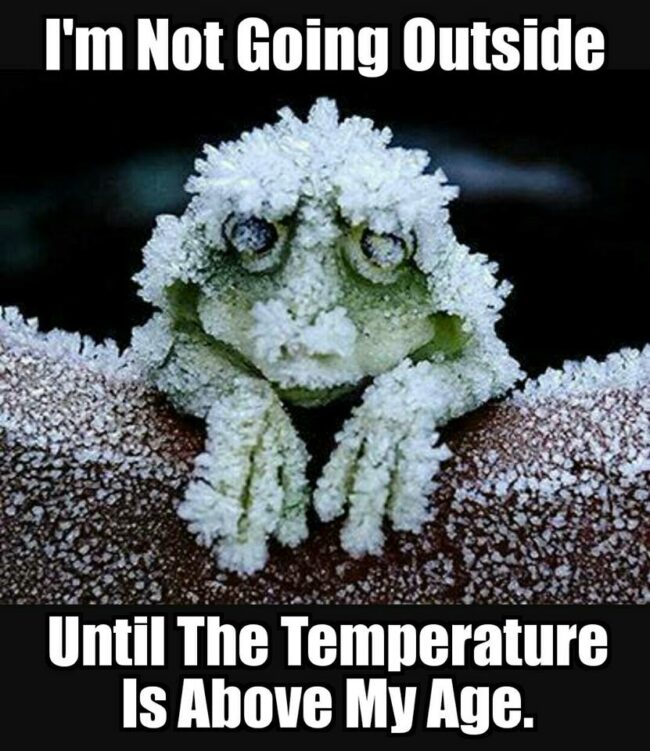 45 Funny Winter Memes That'll Be Less Funny When You're Digging Your ...