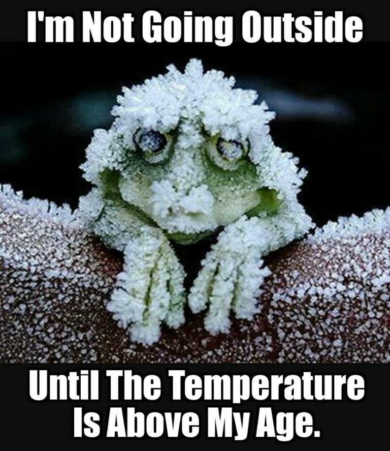 45 Funny Winter Memes That'll Be Less Funny When You're Digging Your ...