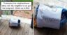 50 Hilarious Neighbors Make Life On The Block Way More Interesting