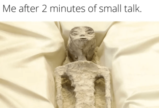 30+ Introvert Memes For Shy Leaders Who Never Wanted To Be The Boss But ...