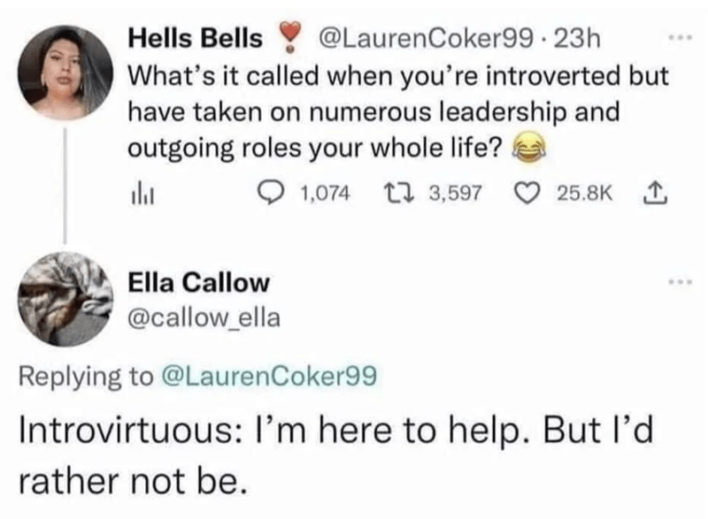 30+ Introvert Memes For Shy Leaders Who Never Wanted To Be The Boss But ...